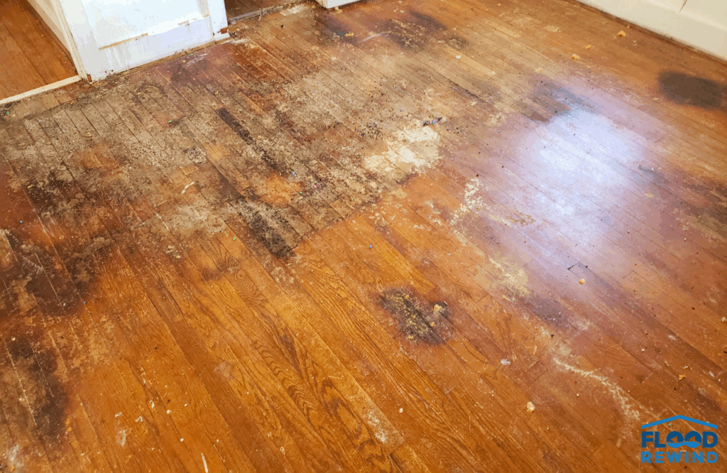 Hardwood Floor Drying and Repair - Flood Rewind